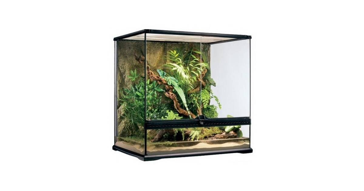 Exo Terra Natural Terrarium Medium/Tall 60x45x60 cm